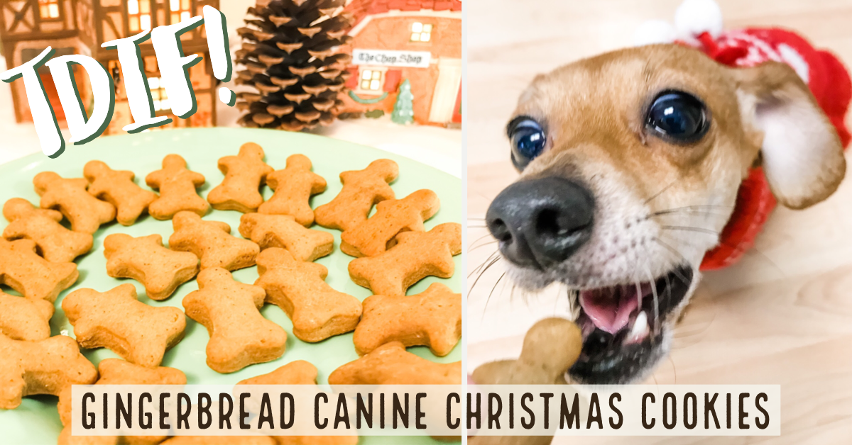 Gingerbread Canine Christmas Cookies