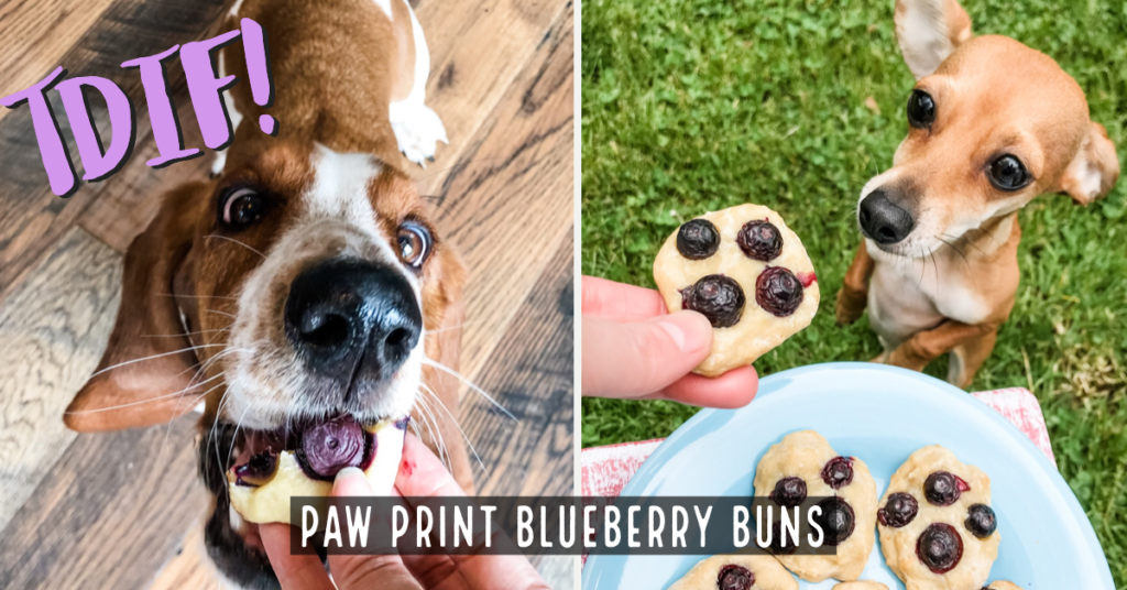 Paw Print Blueberry Buns