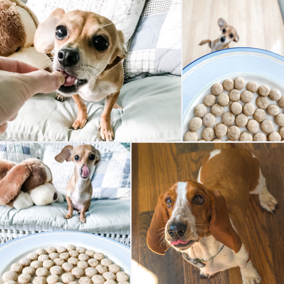 Peanut Butter & Banana Training Tidbits
