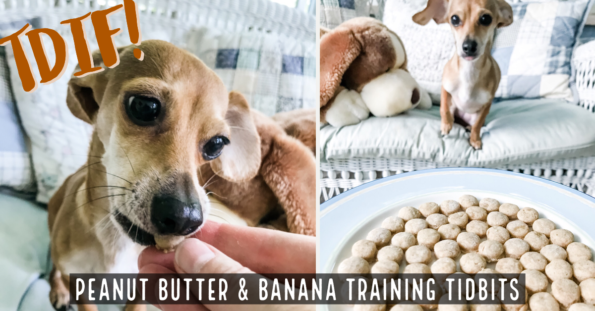 Peanut Butter & Banana Training Tidbits