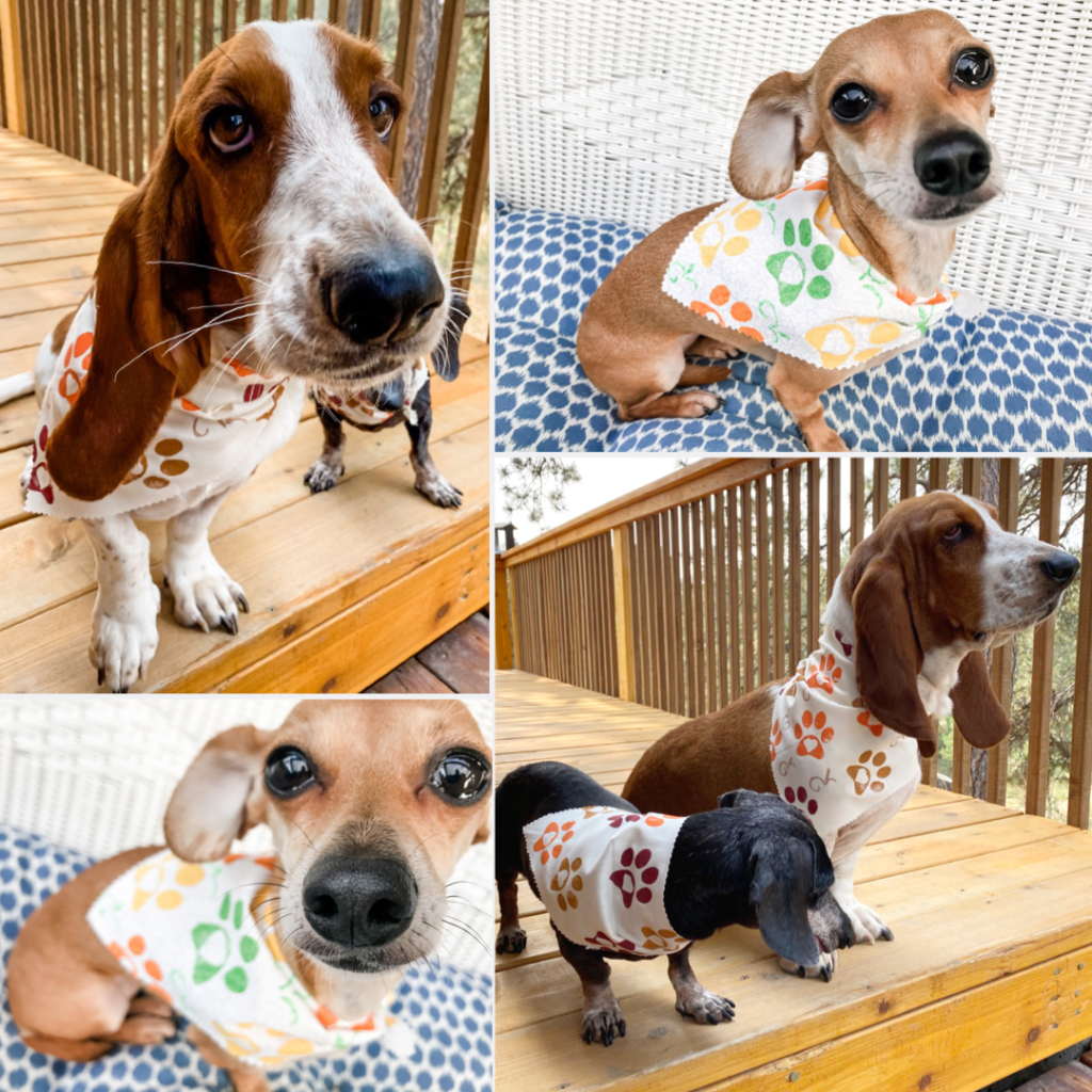 DIY Flirty Fall Dog Bandana