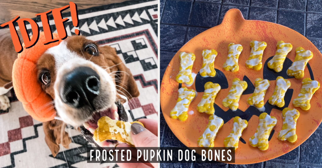 Frosted PUPkin Dog Bones