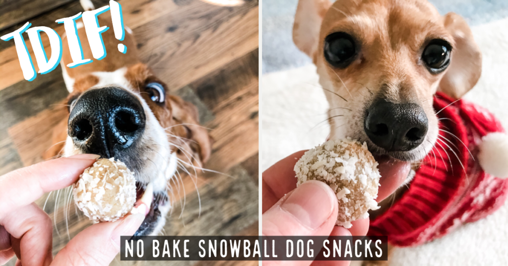 No Bake Treats Archives - Hound Hugger DIY