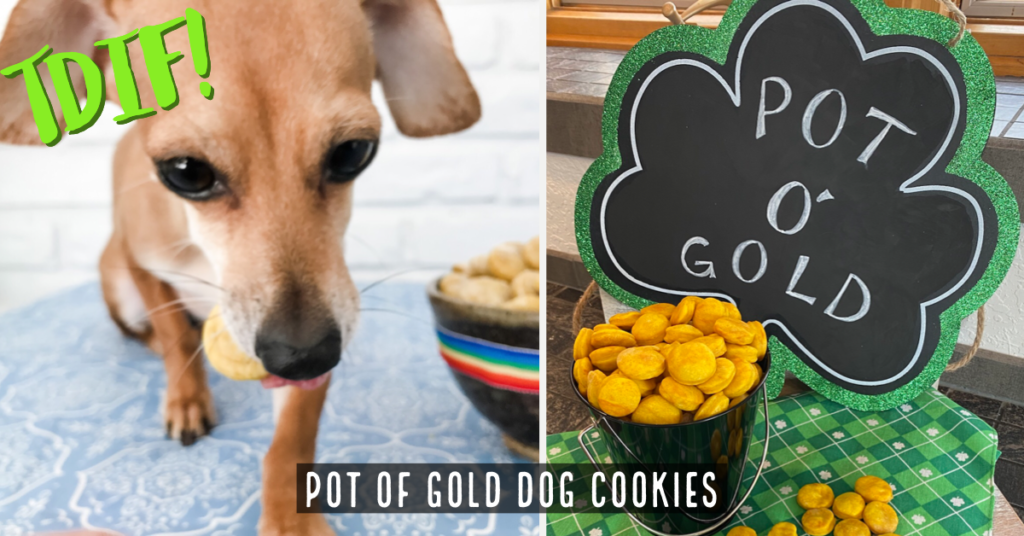 Pot of Gold Dog Cookies