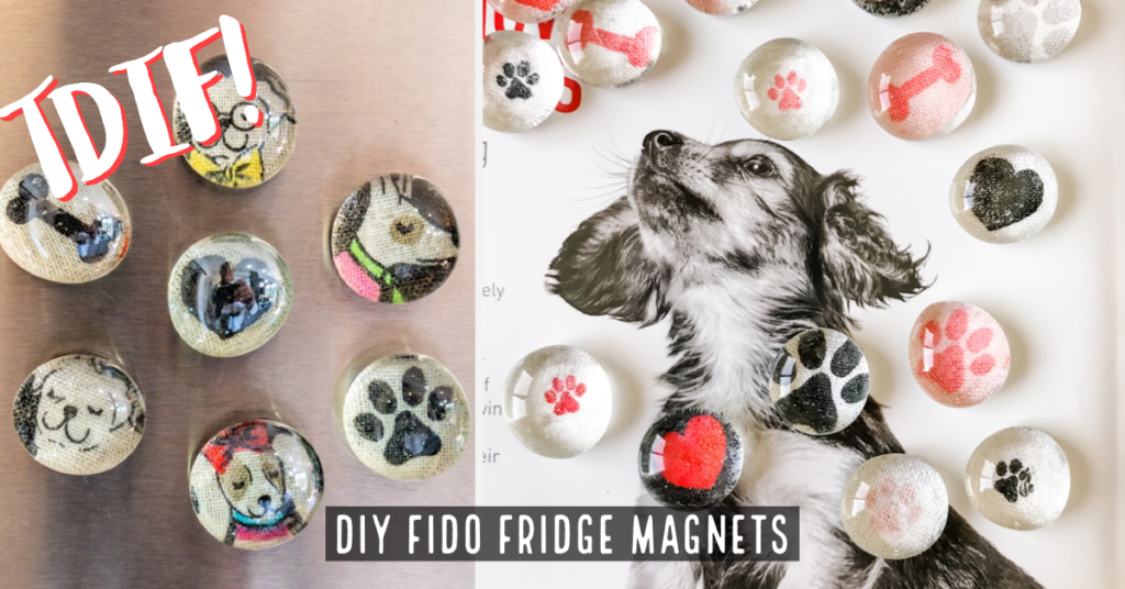 Dollar Tree DIY - Fido Fridge Magnets