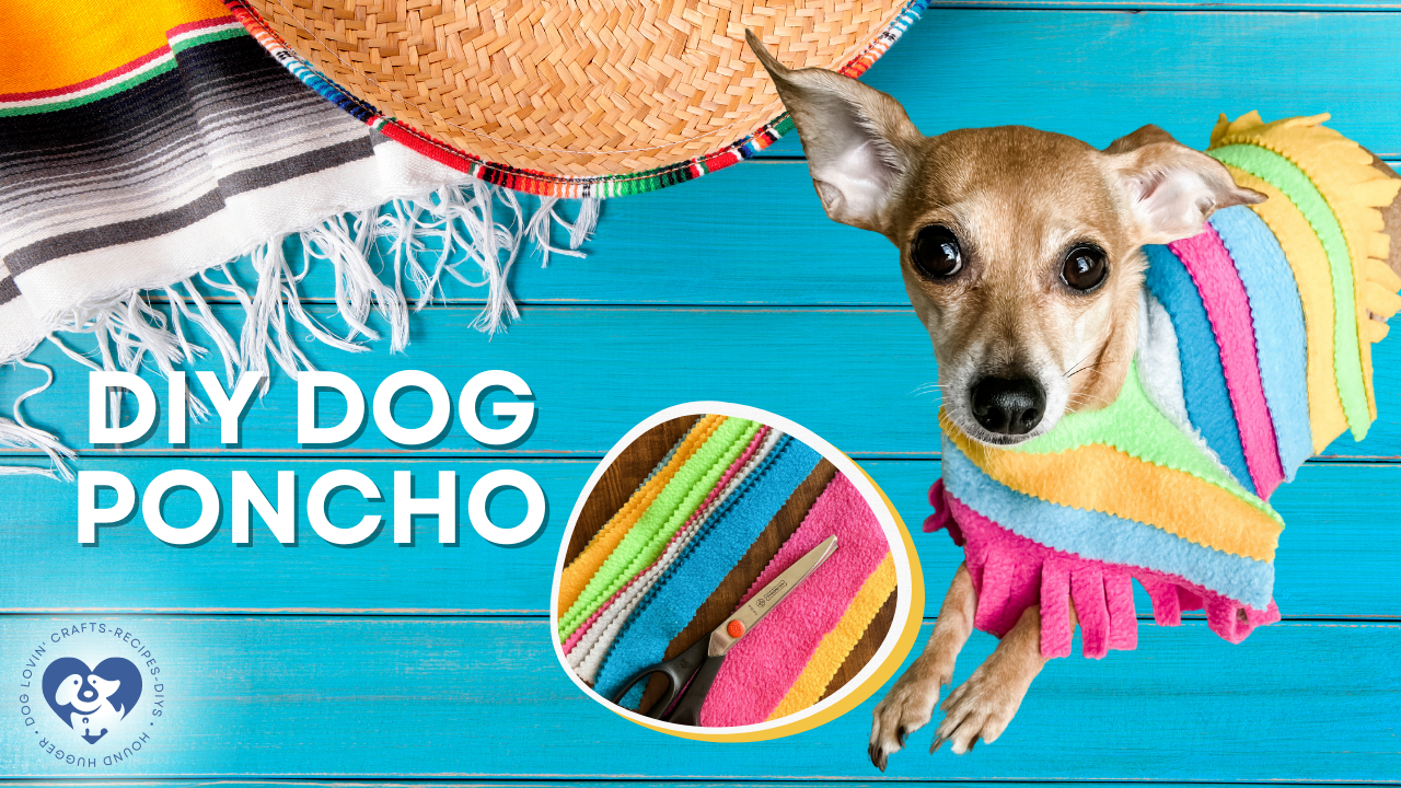 DIY Cinco de Mayo Dog Poncho