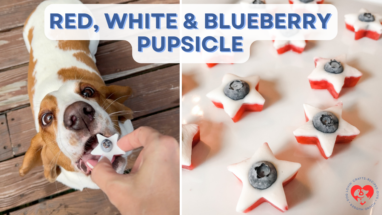 Red, White & Blueberry Pupsicles Dog Treats